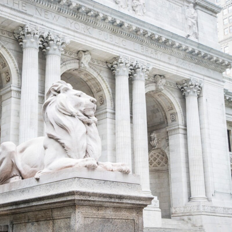 Library Lion - Etsy