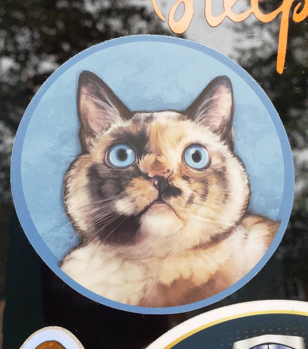 Blue Eyed Calico/tortoiseshell Cat Sticker ("round Daughter") - Etsy