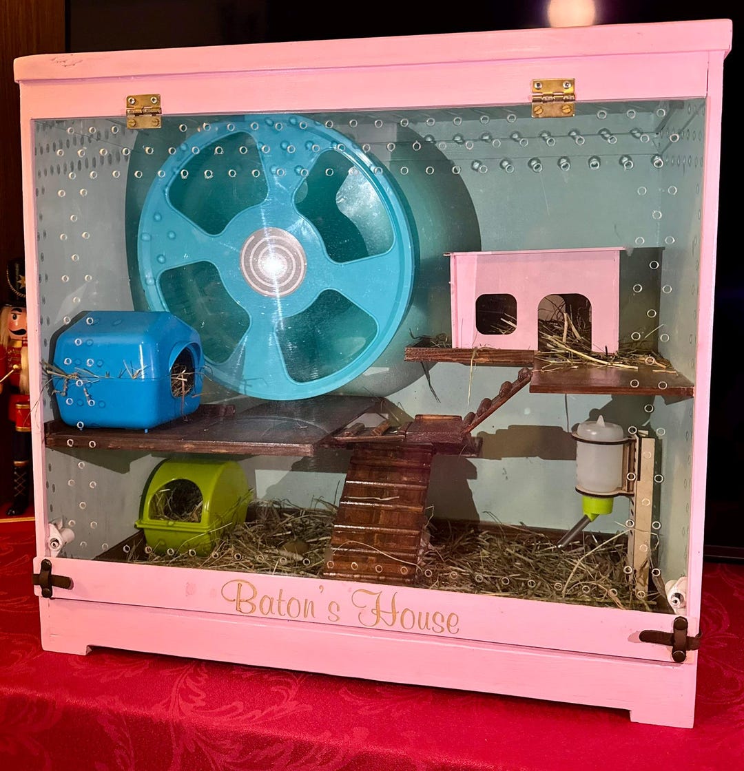 Pink Hamster Cage With Mint Interior and Custom Engraving - Etsy