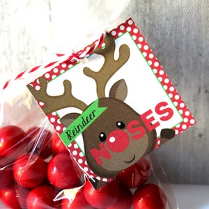 Reindeer Noses Tag, Reindeer Noses, Christmas Tag, Christmas Printable ...