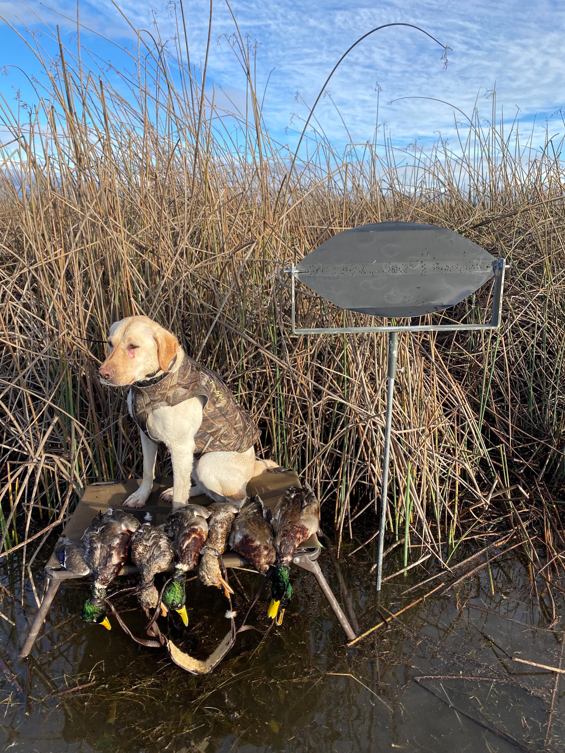 Wind Driven Spinning Wing Duck Decoy Blade Style - Etsy