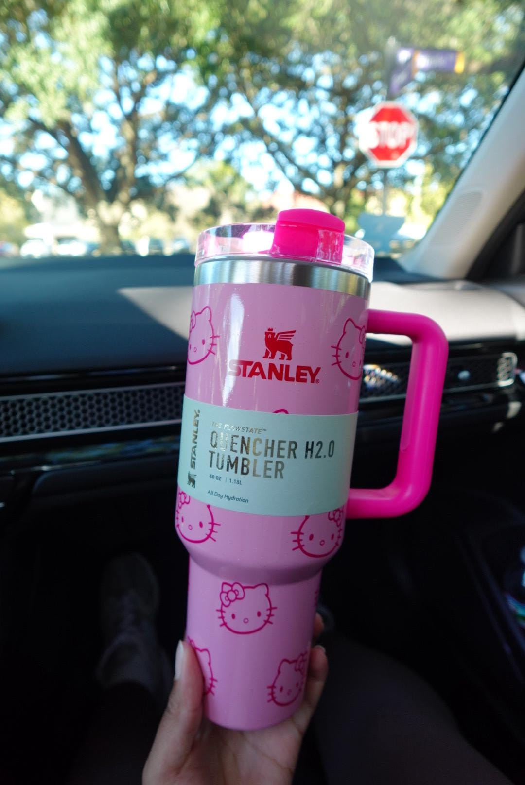 40 OZ Hello Kitty Stanley Cup - Etsy