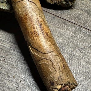 Bark Beetle Art - Tracks and Patterns Inscribed on Wood by Insects - Etsy