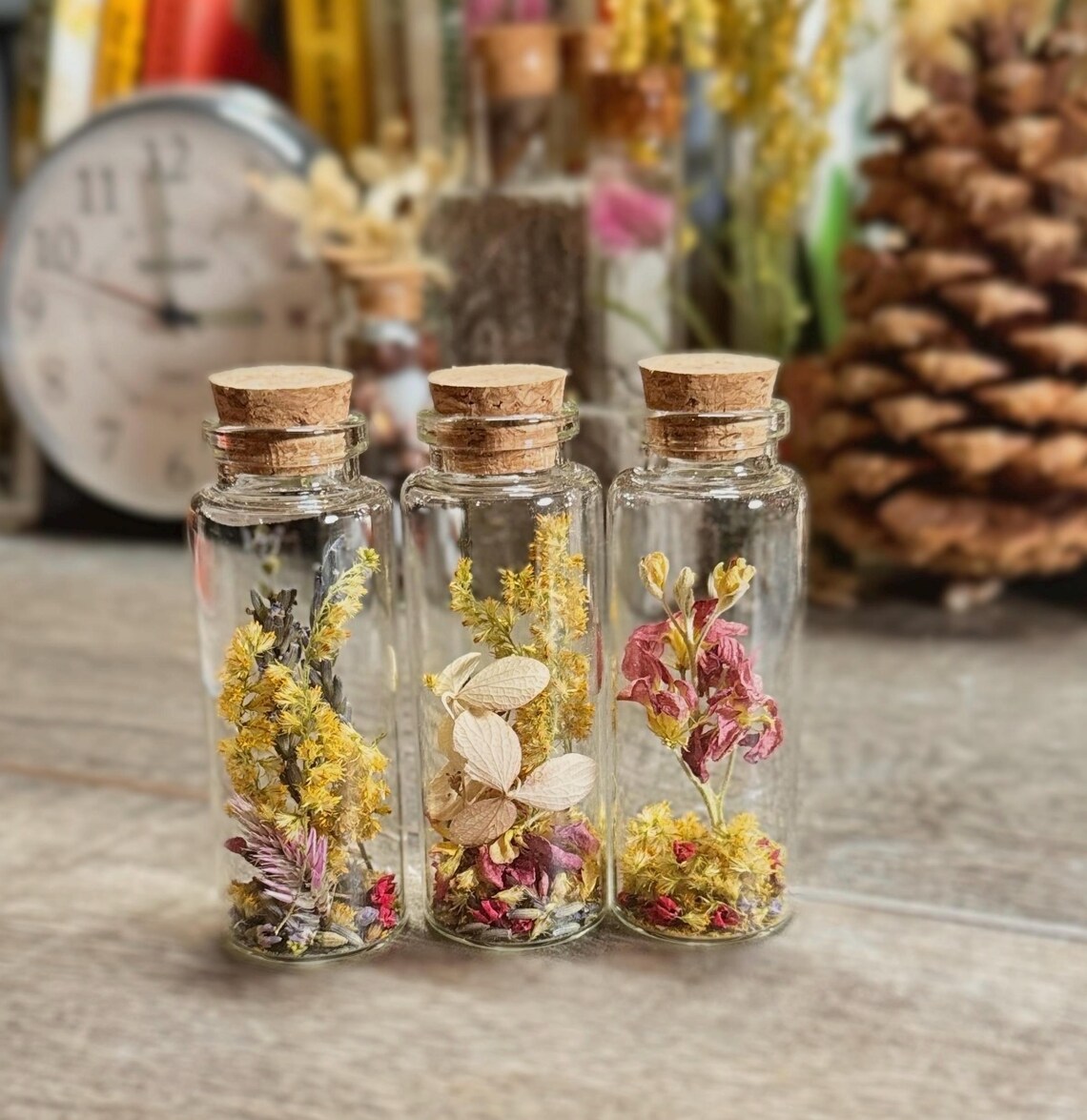 Handpicked and Dried Wildflowers in Specimen Jars Set of 3 Jars - Etsy