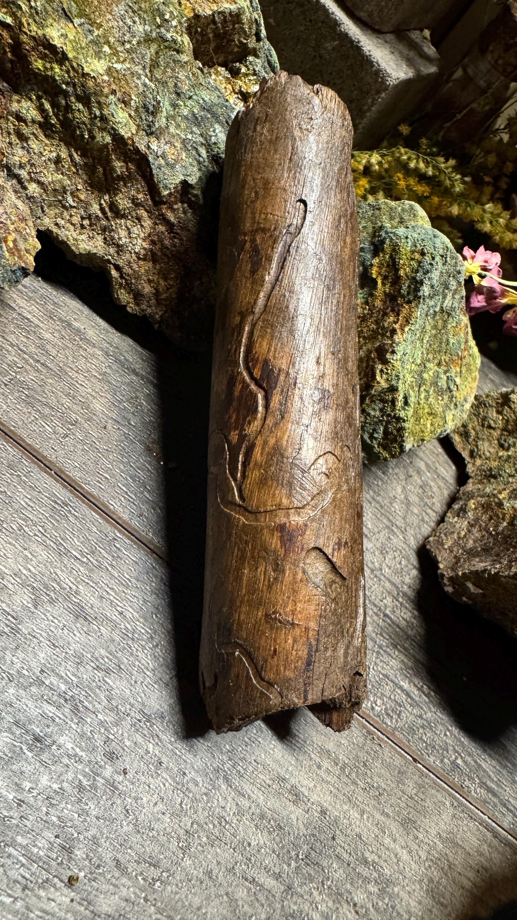 Bark Beetle Art - Tracks and Patterns Inscribed on Wood by Insects - Etsy