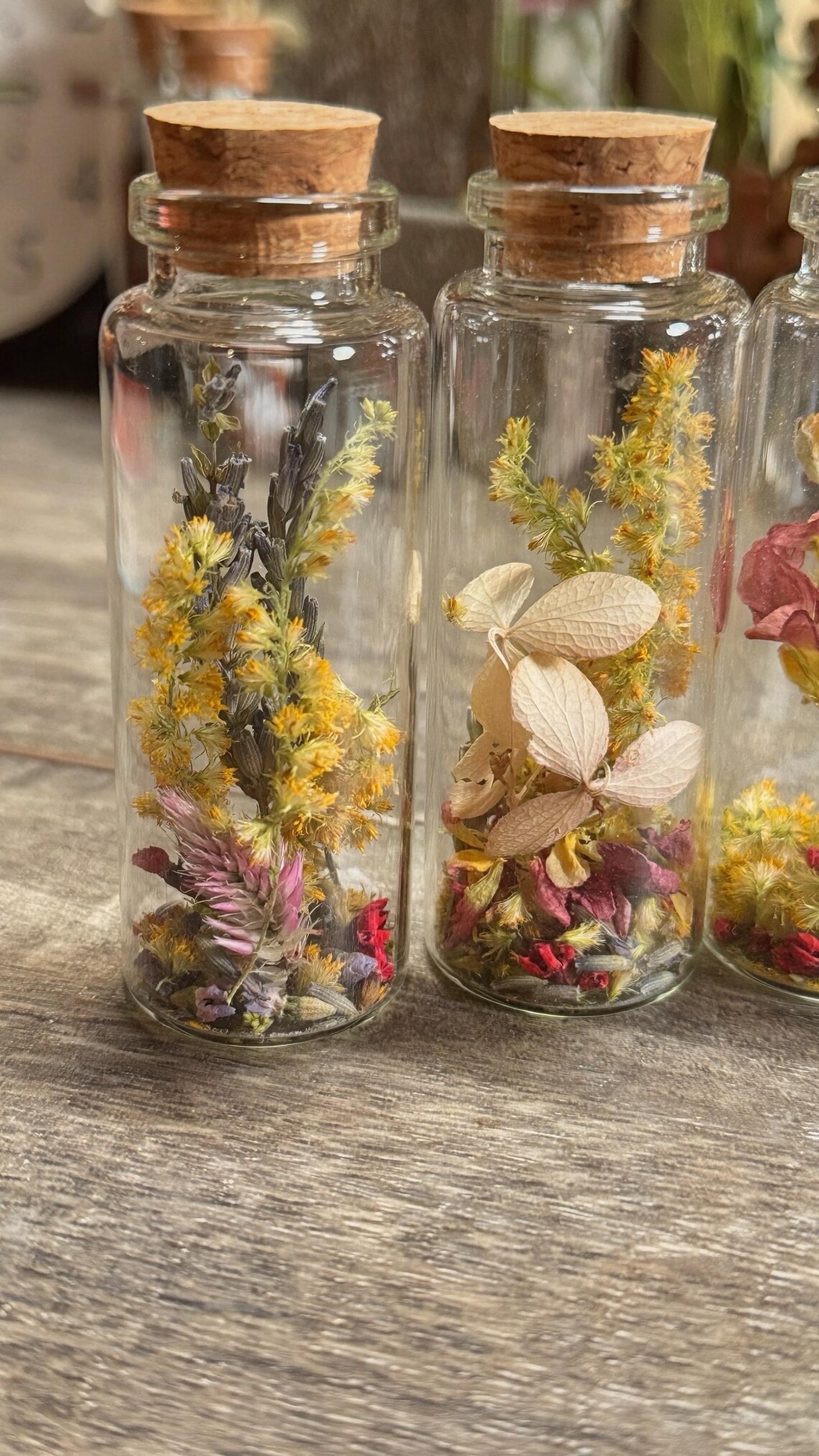 Handpicked and Dried Wildflowers in Specimen Jars Set of 3 Jars - Etsy