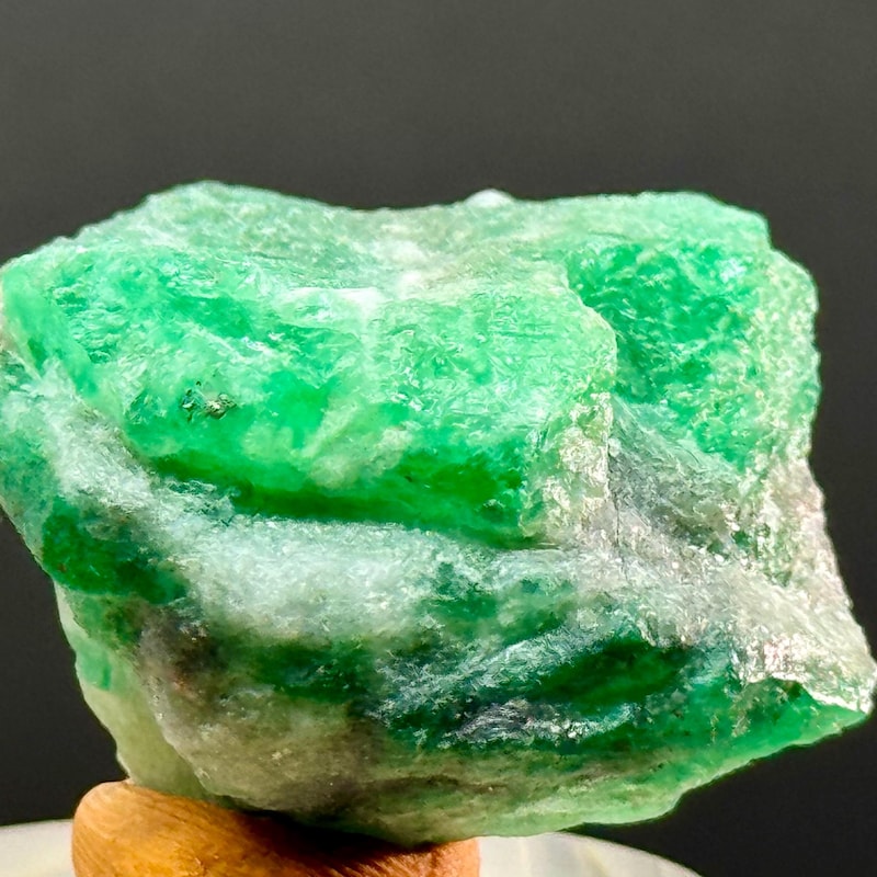 Swat Display - Etsy UK