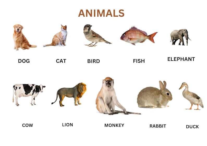 First 100 Words for Kids – Printable Flashcards Learning Posters ...