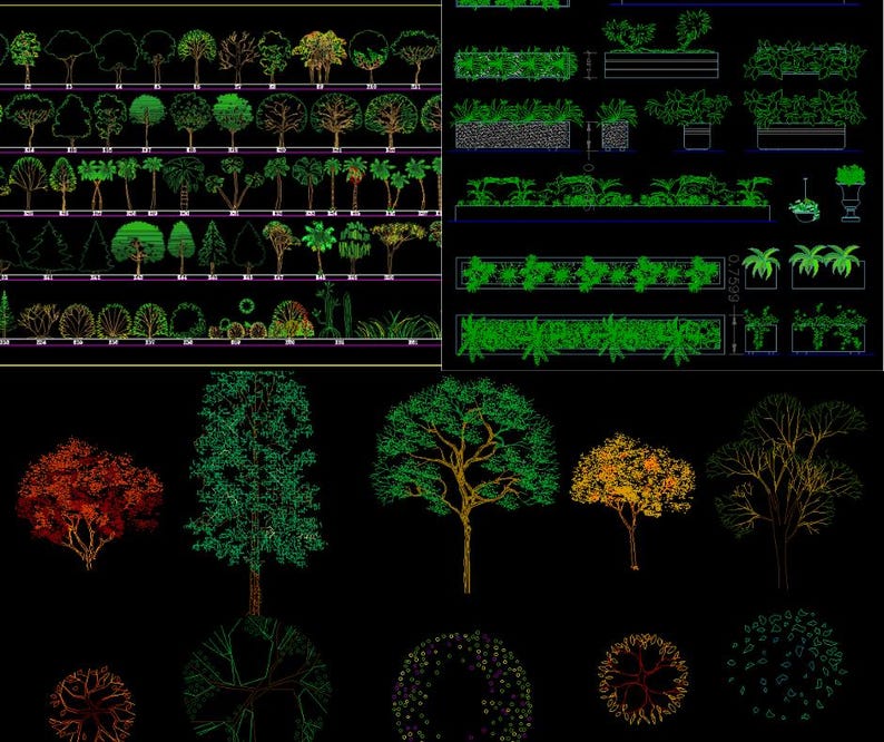 Trees & Plants CAD Blocks | 15,000+ Autocad DWG Symbols | Architectural ...