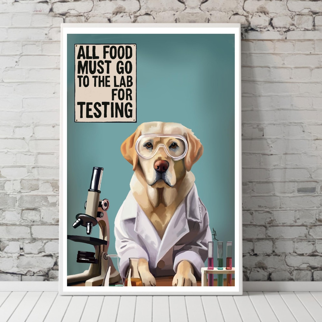 Yellow Lab Wall Art - Phd Food Scientist Graduation Gift - Labrador ...