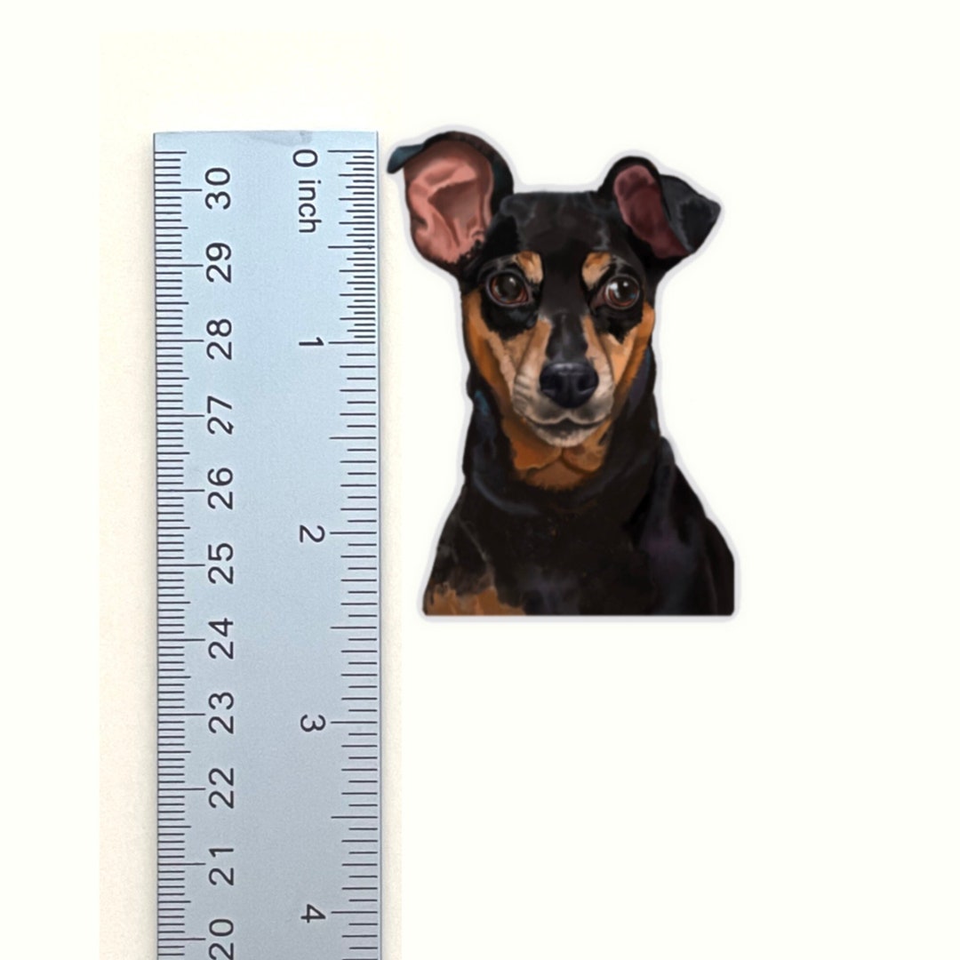 Adorable Miniature Pinscher Vinyl Decal Pack - Ideal Gift for Pet ...