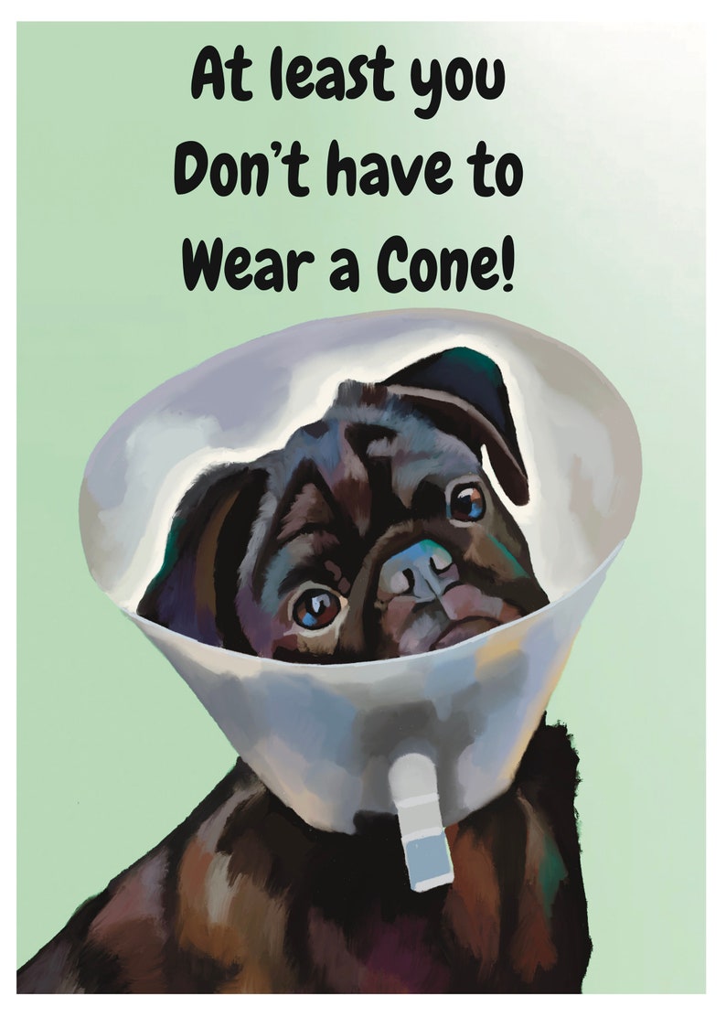 Pug Get Well Card: Funny Dog Art, Cheer up Gift - Etsy