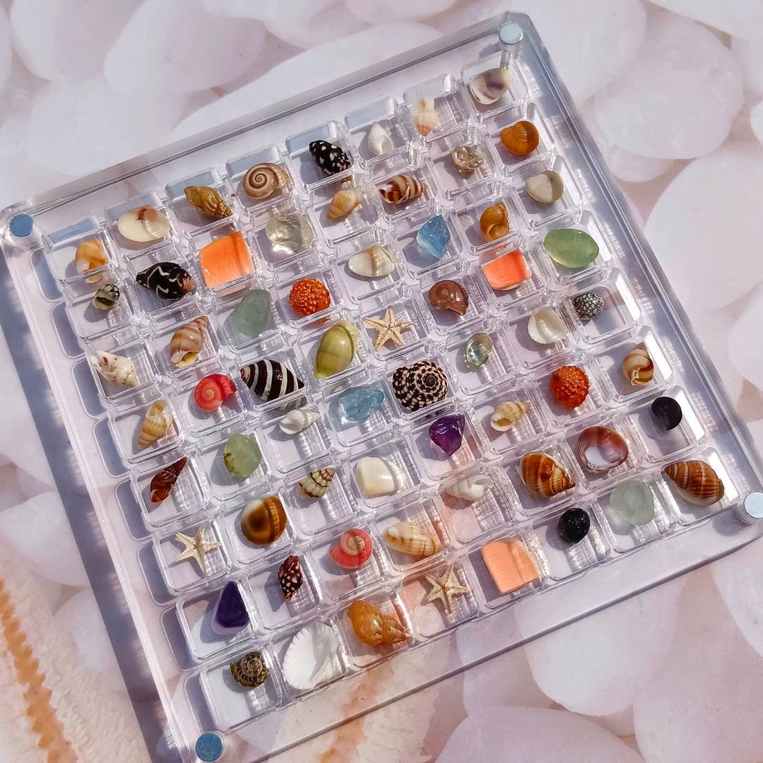 36 Grids or 64 Grids Acrylic Transparent Magnetic Miniature Seashells ...