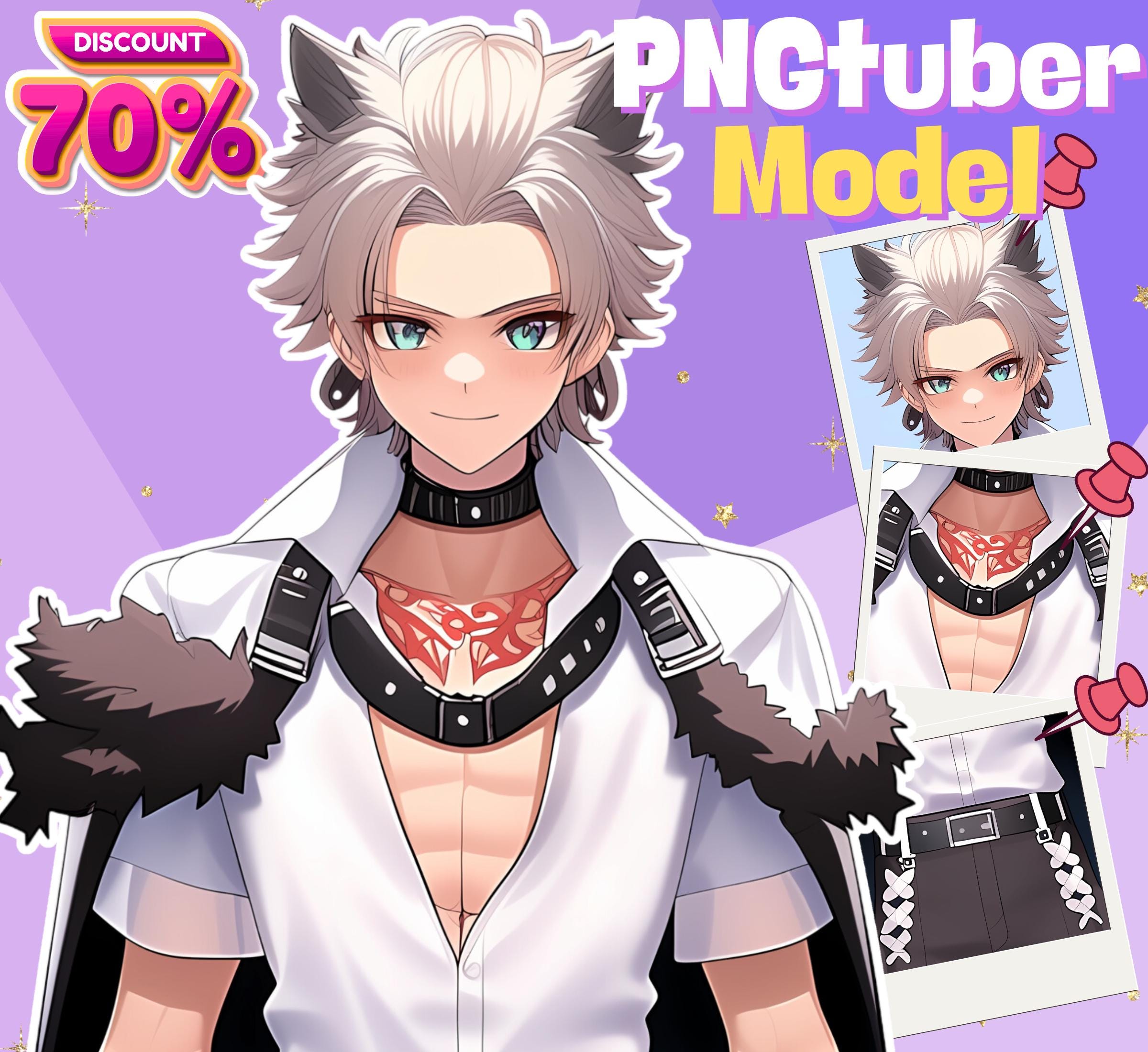 Custom PNGTUBER Pngtuber Model Pngtuber Character Pngtuber Commissions ...