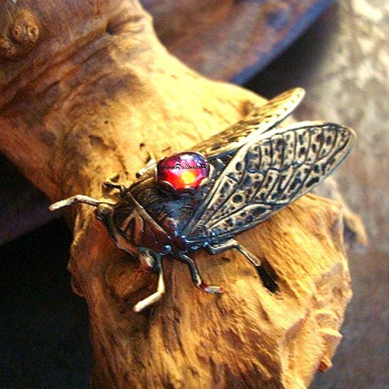 Cicada Brooch - Etsy