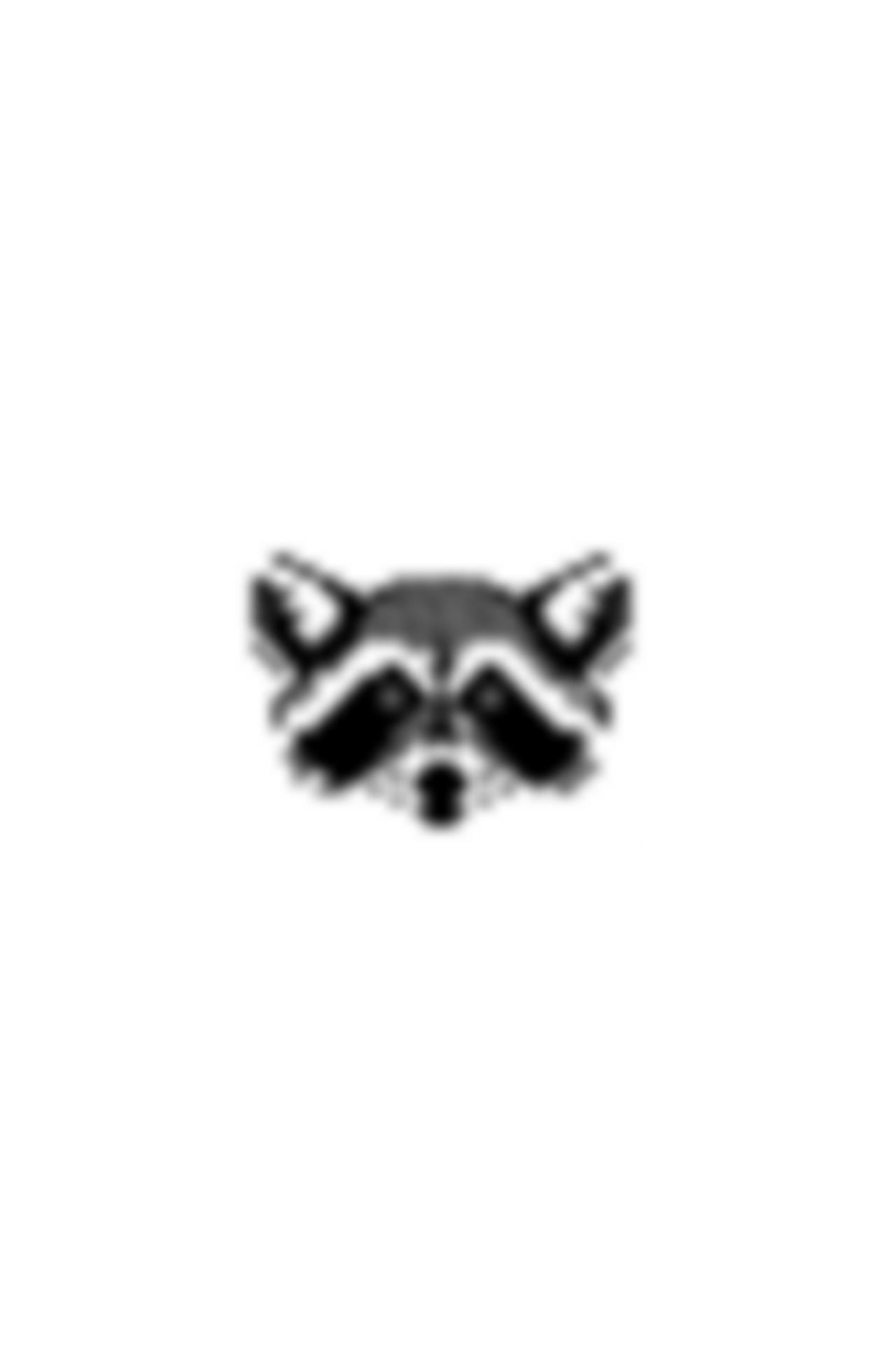 Raccoon Perler Pattern - Etsy