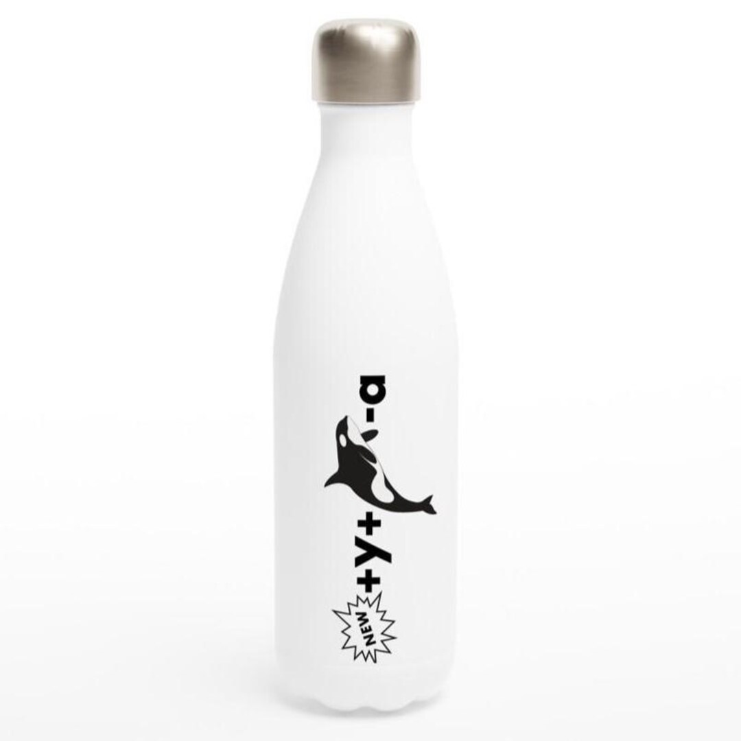 NYC Water Bottle, Rebus Puzzles, Traveler Gift, New York Gifts, Funny ...