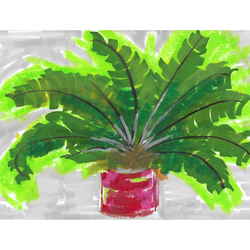 Plant Art - Etsy