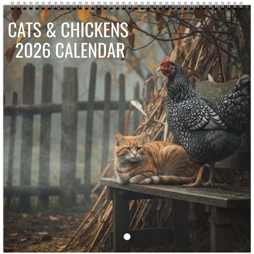 Cats & Chickens 2026 Wall Calendar | Funny Animal Art - Etsy