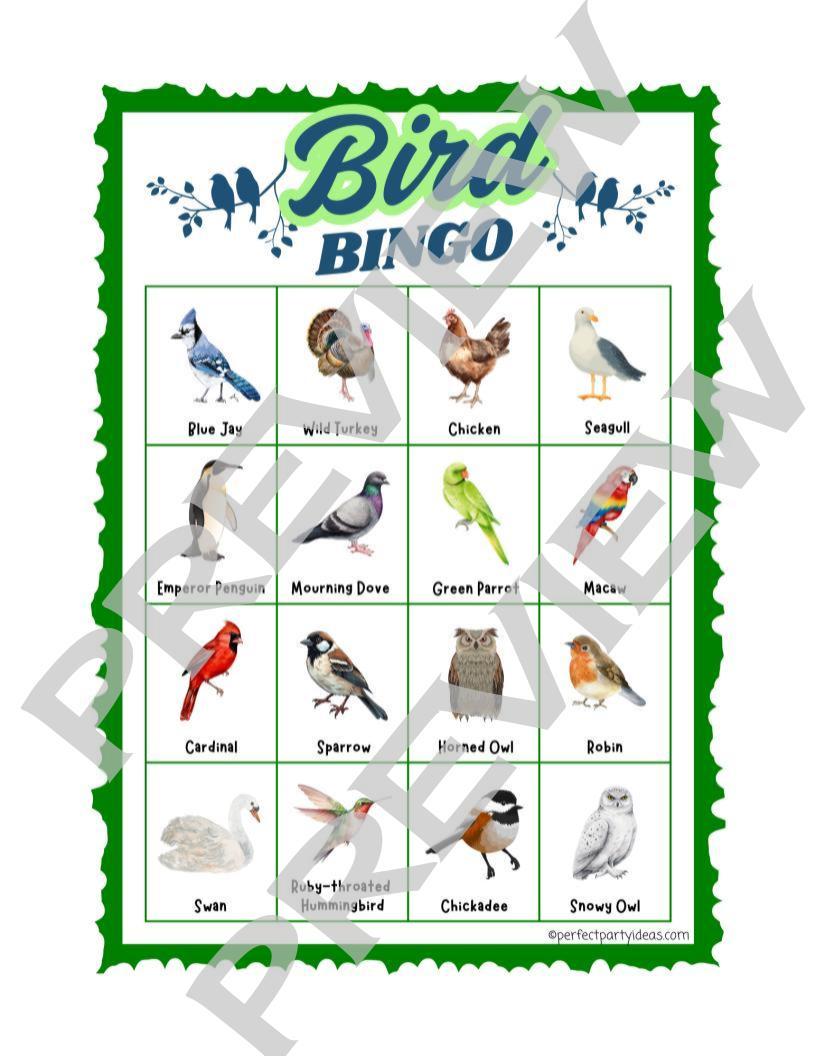 Bird Bingo Game | Animal & Nature Bingo | Printable 20-card Game ...