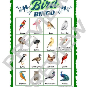 Bird Bingo Game | Animal & Nature Bingo | Printable 20-card Game ...
