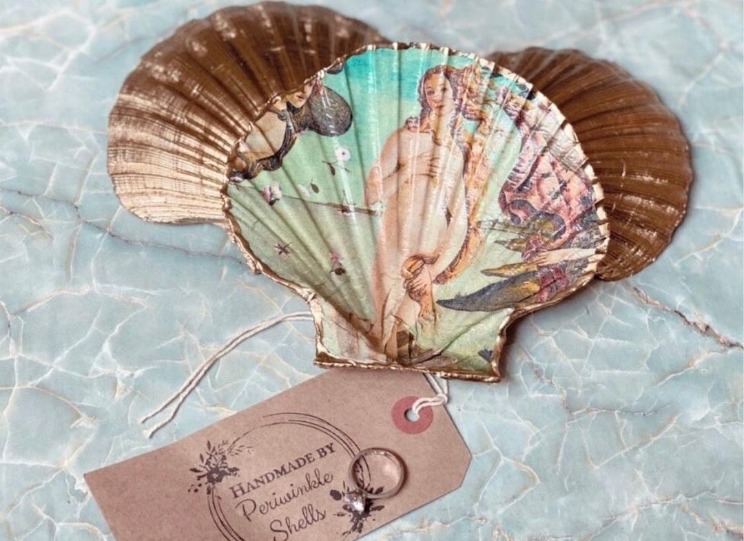 Birth of Venus Scallop Shell Art - Etsy