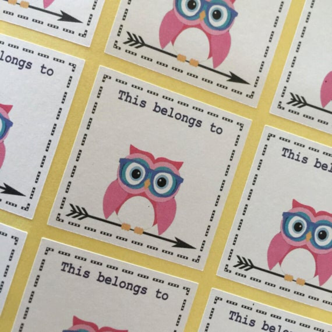 This Book Belongs to Label Sticker With Owl Design 15pc White | Etsy