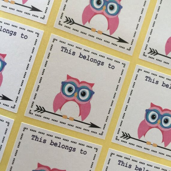 This Book Belongs to Label Sticker With Owl Design 15pc White | Etsy