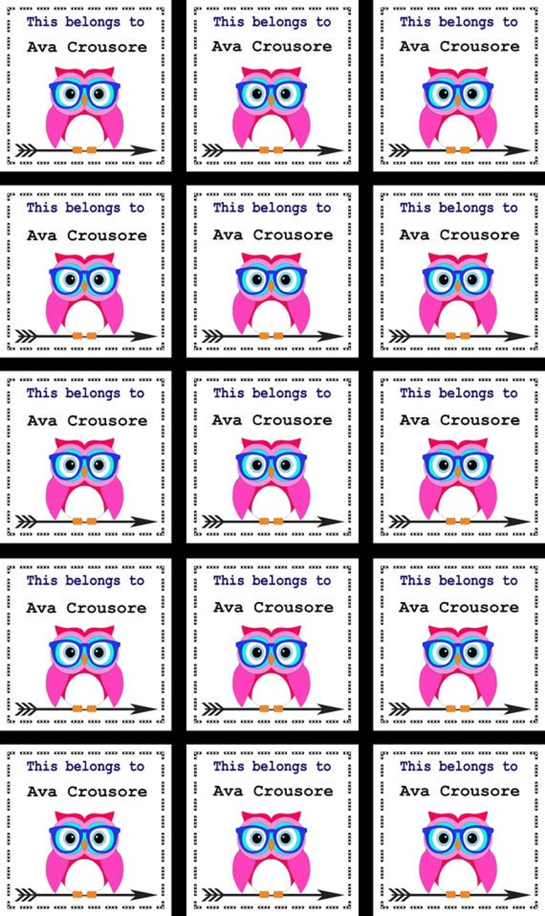 This Book Belongs to Label Sticker With Owl Design 15pc White | Etsy