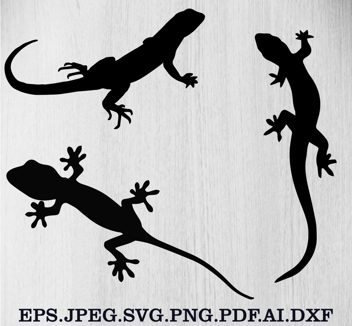 Lizard Svg Bundle, Lizard Png Bundle, Lizard Clipart, Lizard Silhouette ...