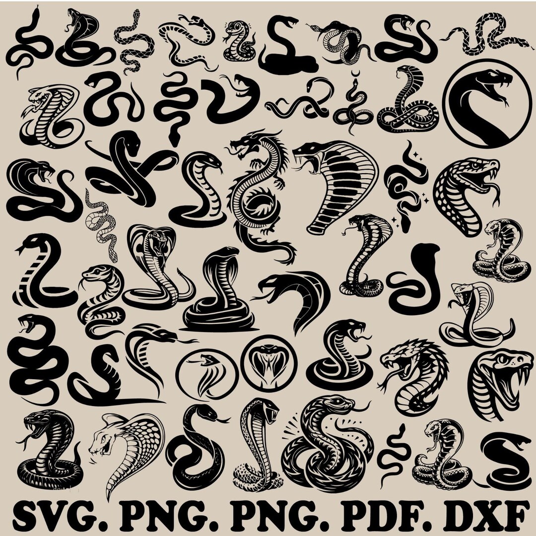 Snake Svg Bundle, Clipart Snake, Unique Snake Svg Bundle, Snake ...