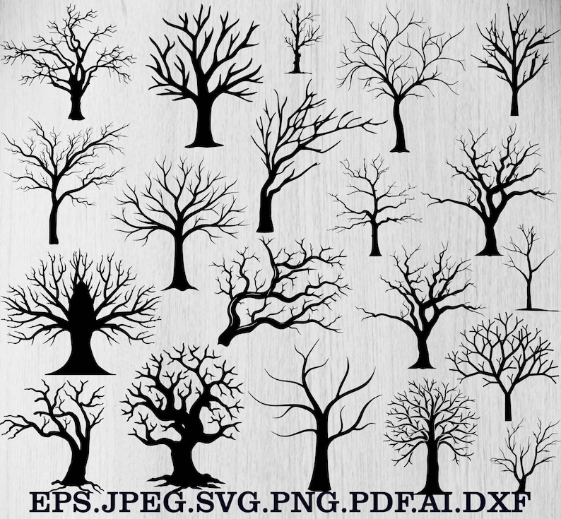 Bare Tree Svg Bundle, Bare Tree Png Bundle, Bare Tree Silhouette, Bare ...