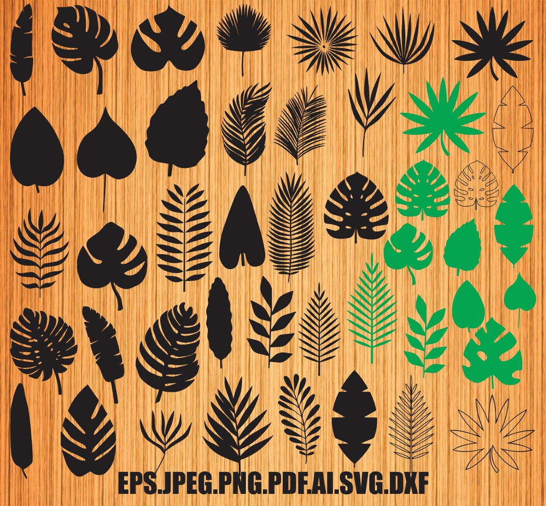 Leaves SVG Bundle, Hand Drawn Leaves SVG, Plant Svg, Paper Leaves, Leaf ...