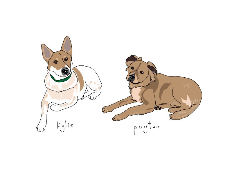 Custom Pet Portrait Quirky Illustrated Pet Drawing Digital - Etsy