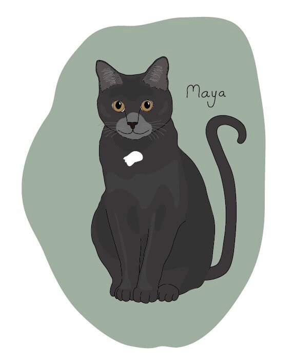 Custom Pet Portrait Quirky Illustrated Pet Drawing Digital Download - Etsy