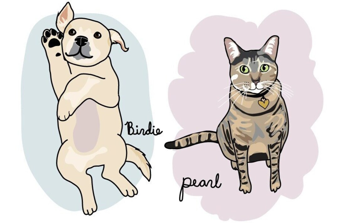 Custom Pet Portrait - Quirky Illustrated Pet Drawing - Digital Download ...