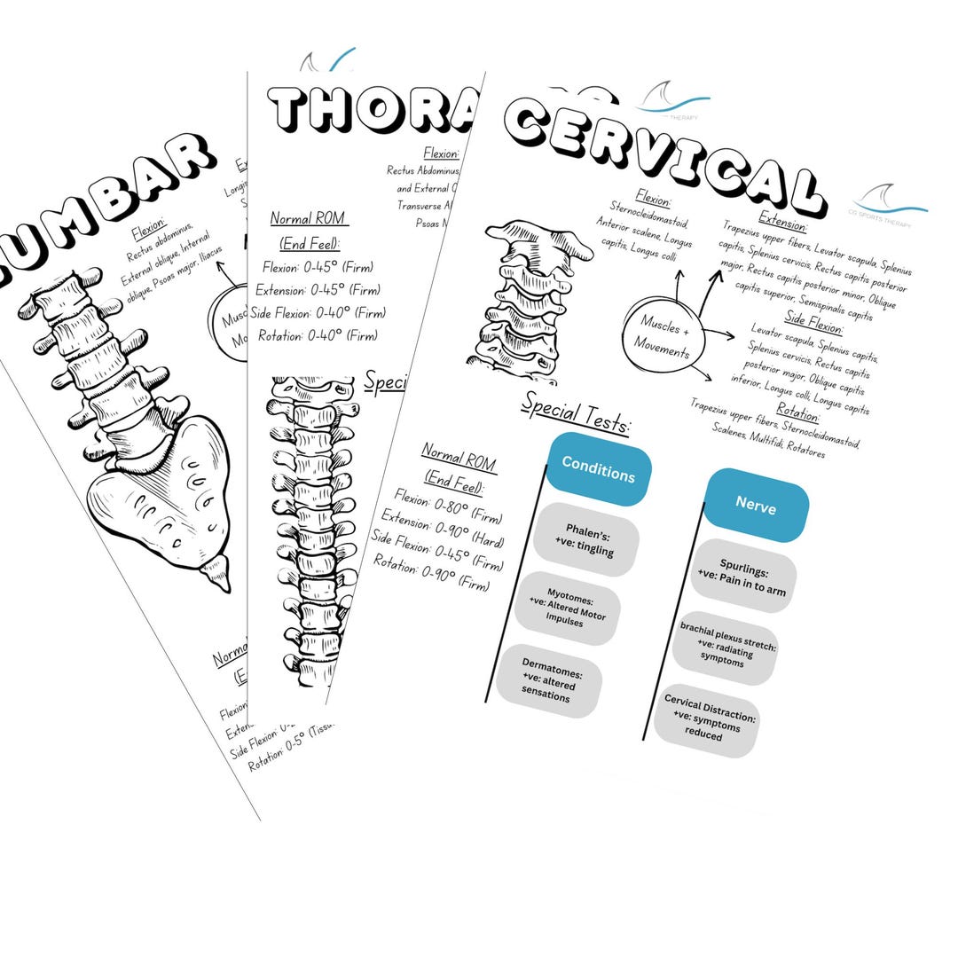Musculoskeletal Student Anatomy Spinal Crib Sheets Bundle of 3 - Etsy