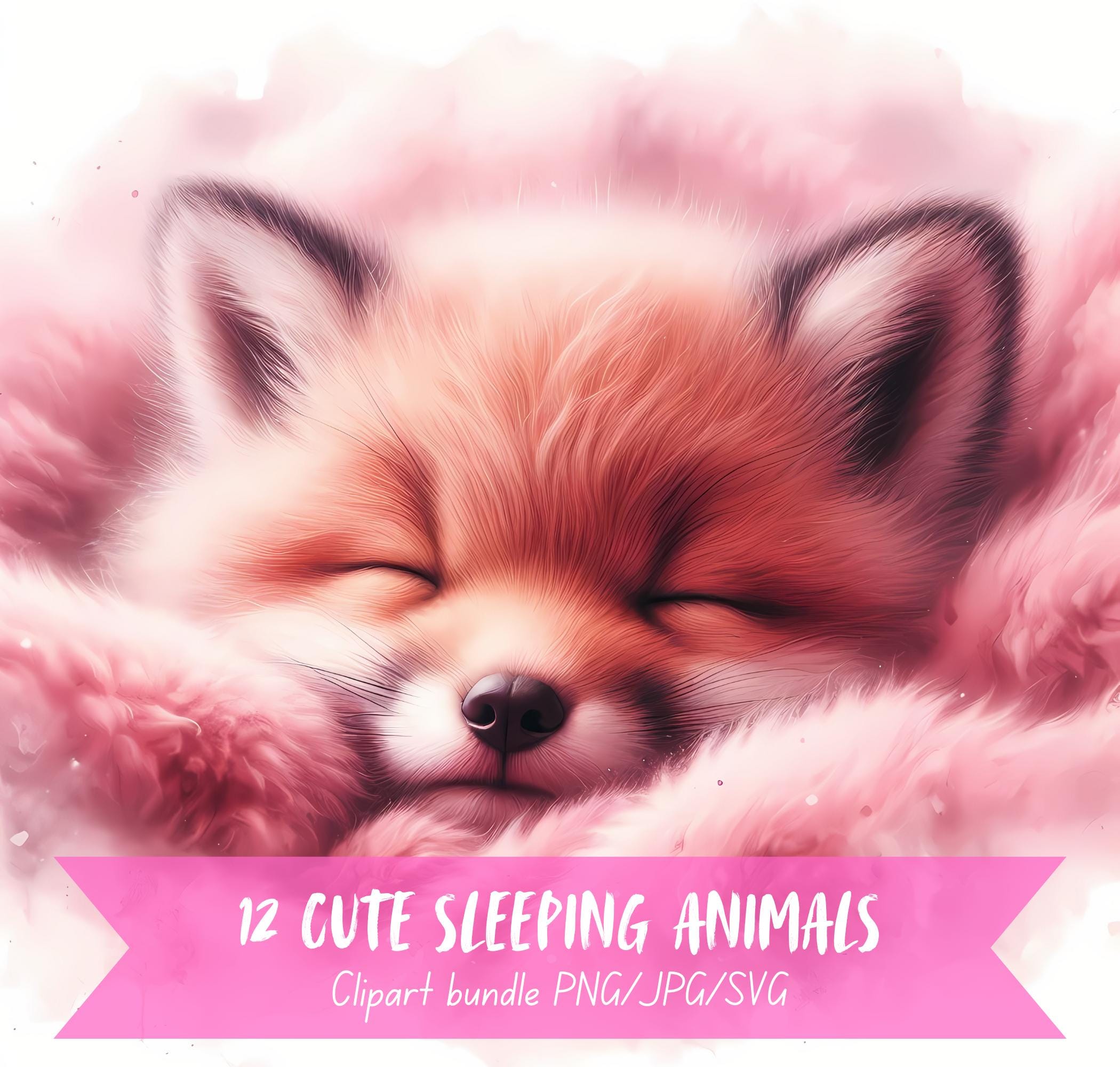 Cute Sleeping Animal Clipart Bundle Adorable Sleeping Clipart Animal ...