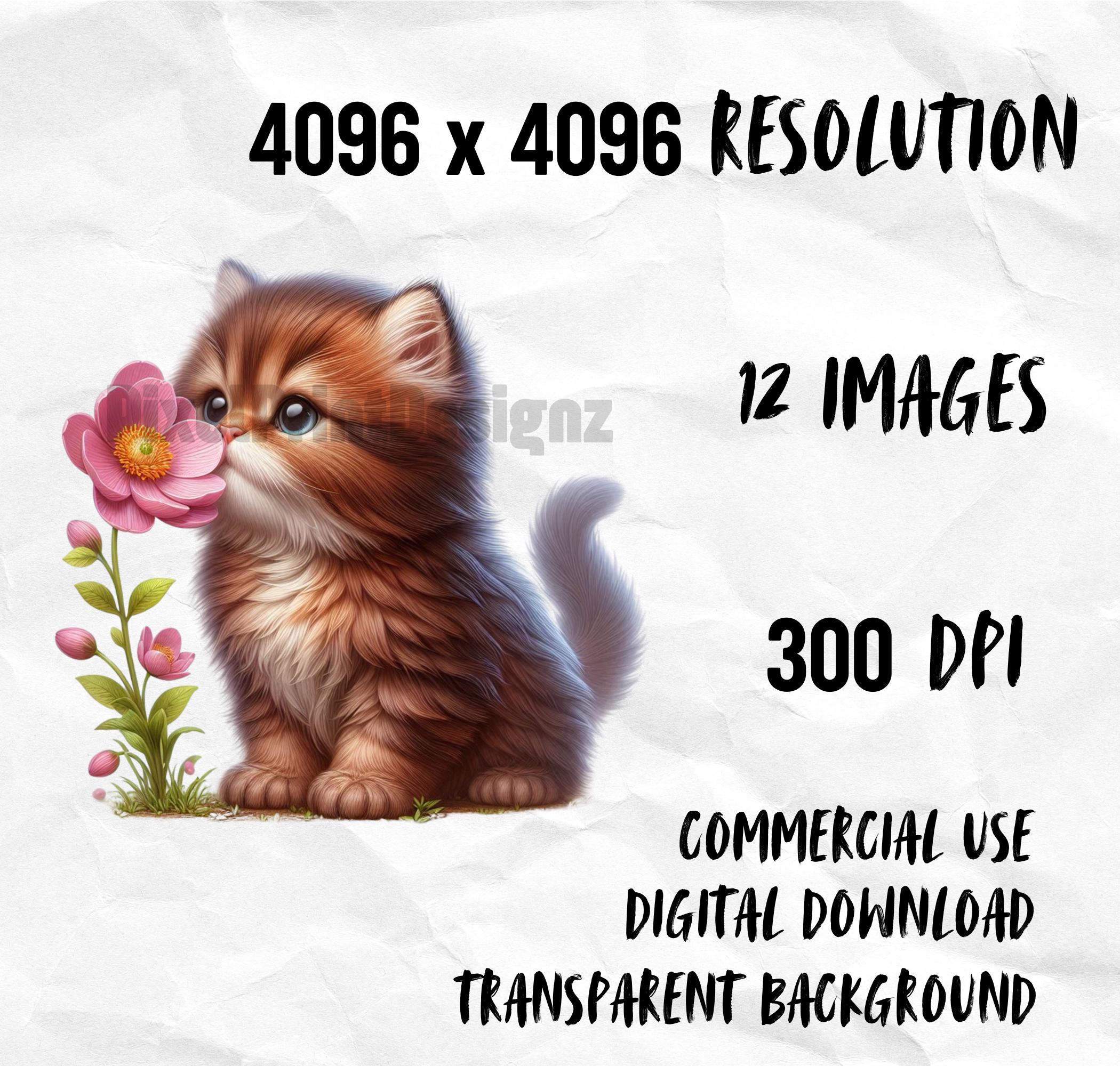 Cute Cat Spring Clipart Bundle Kitten Cute Flower Clipart Spring Cat ...