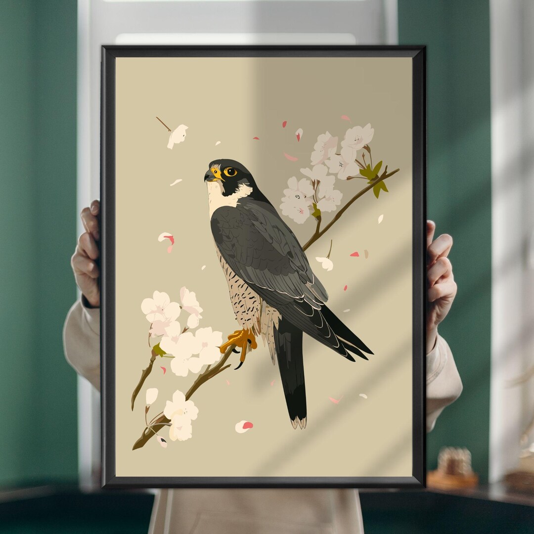 Peregrine Falcon Painting Poster: Vintage Raptor Bird Art - Etsy