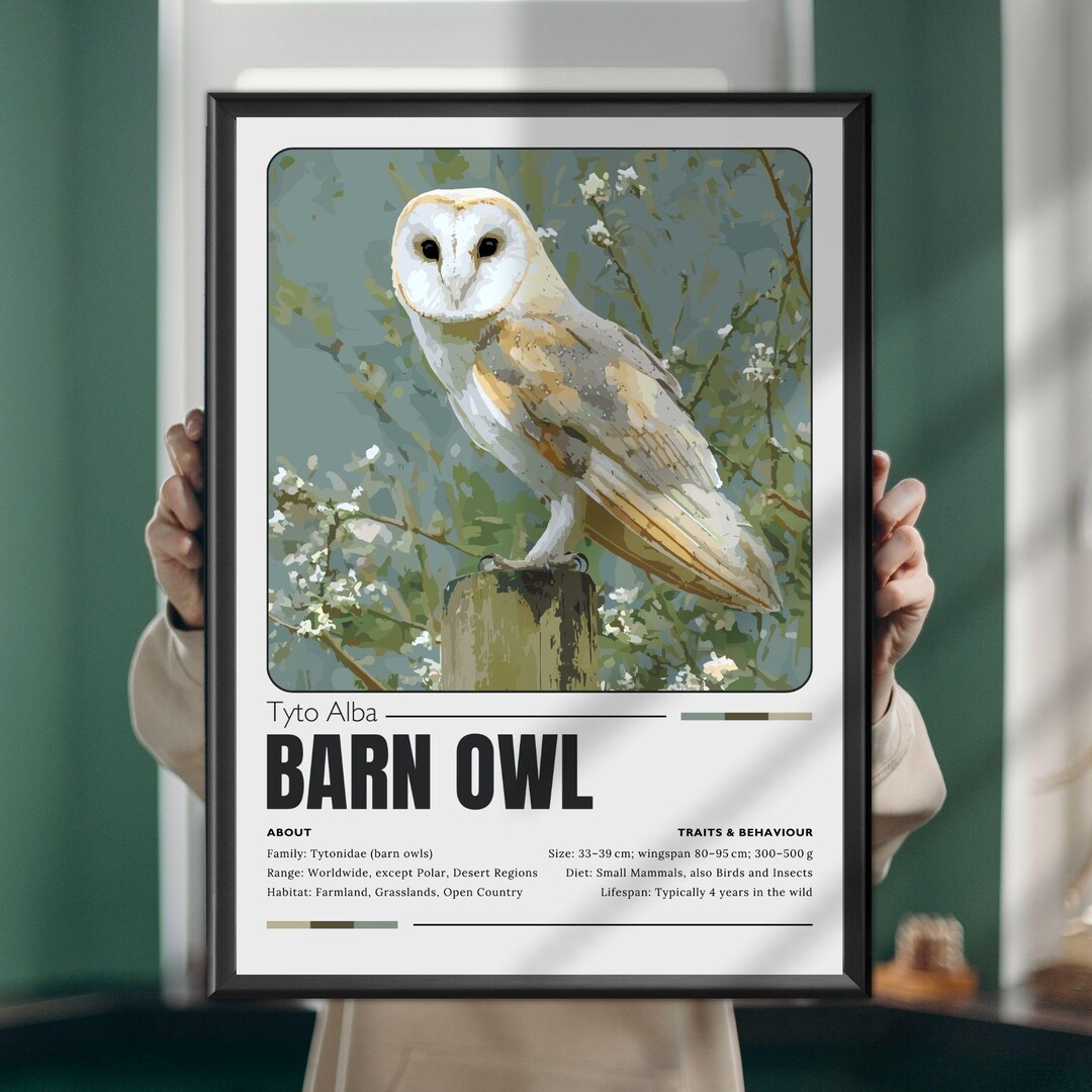 Vintage Barn Owl Poster: Rustic Wildlife Illustration Art - Etsy