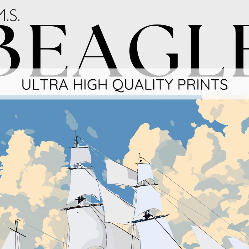 HMS Beagle Poster, Print, Wall Art, Maritime Art, Famous Ships - Etsy