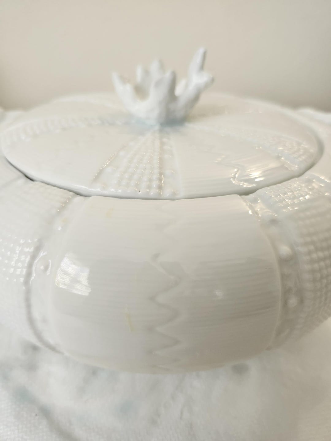 Paris Royal Sea Urchin Porcelain Serving Piece - Etsy