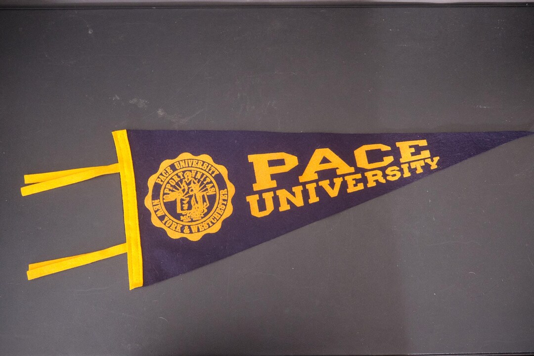 1960s PACE University NYC Felt Pennant Flag 29” - Etsy