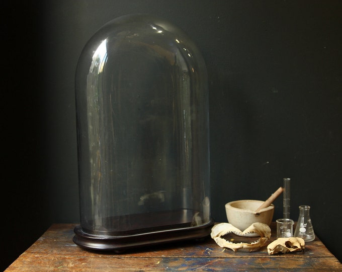Antique Victorian Glass Dome Display - HUGE - Etsy