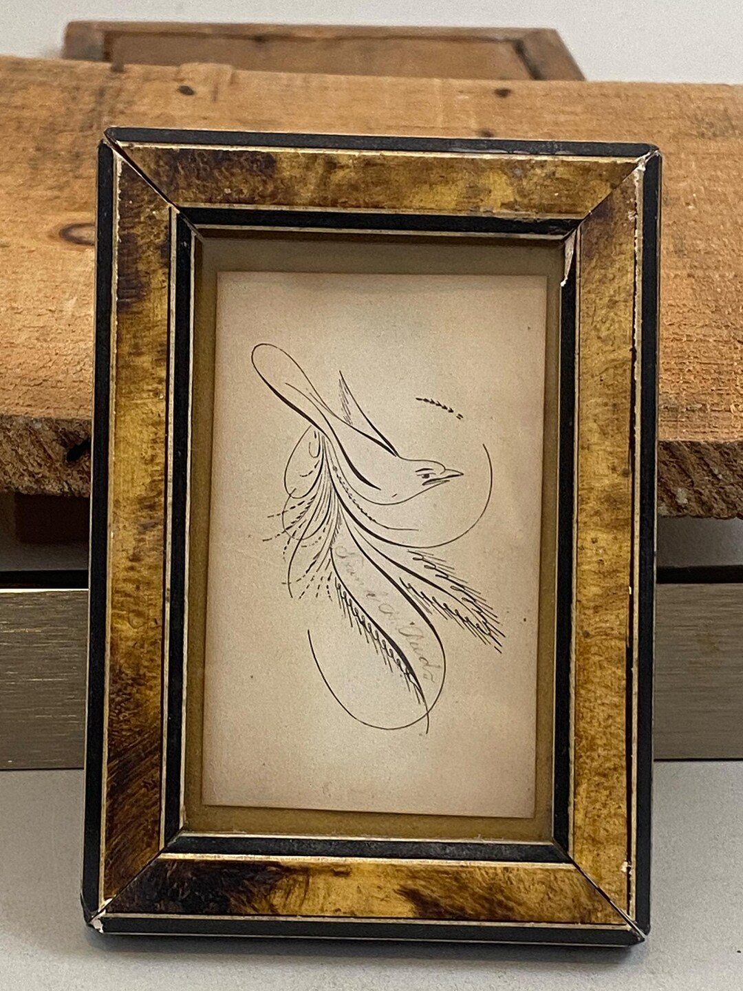 Antique 1800s Calligraphy Bird Drawing - Signed Frank H Reid - Framed ...