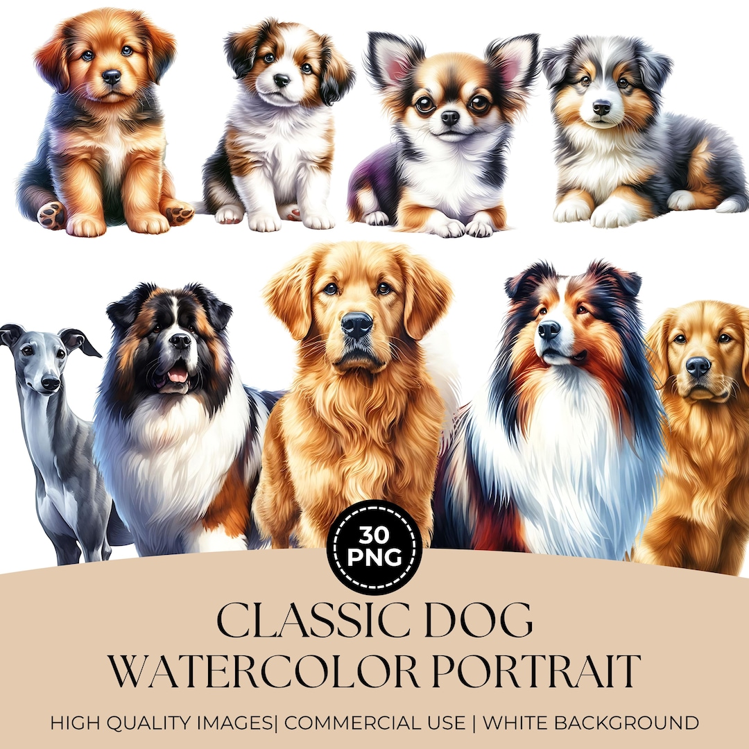 Dog Watercolor Clipart Bundle: 30 Pet Portrait Illustrations (PNG ...