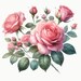 Pink Rose Watercolor PNG Clipart Bundle Set of 30 Rose Bouquet Floral ...