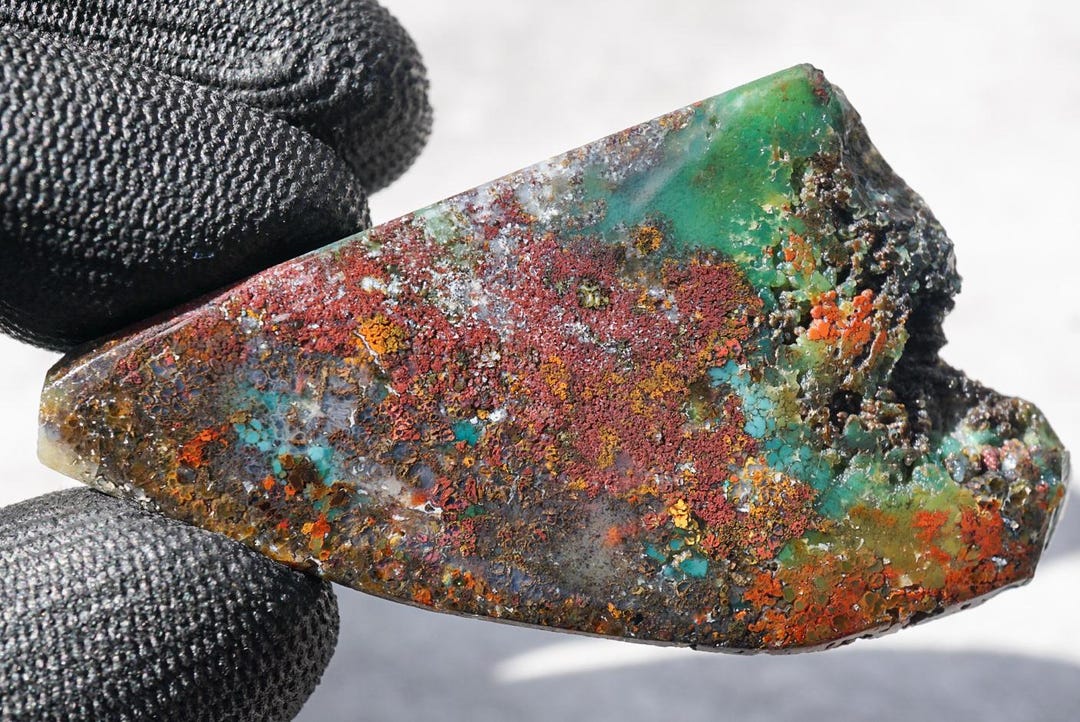 Slab Blue Opal for Cabochon Making Scenic Petrified Wood Opal for ...
