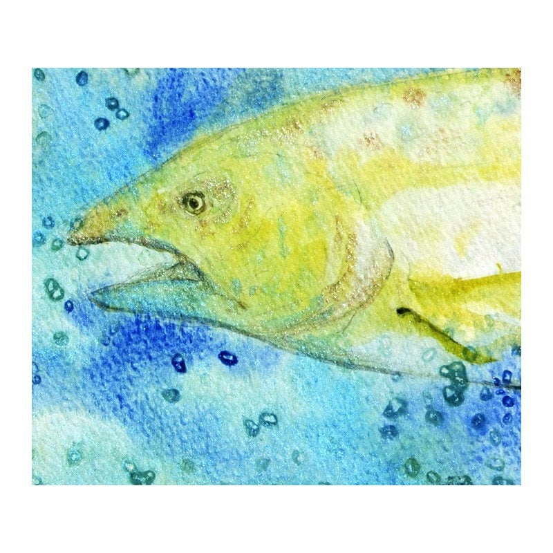 Salmon Painting, Fish Painting, Watercolor Fish, 8 X 10 Giclee Print ...